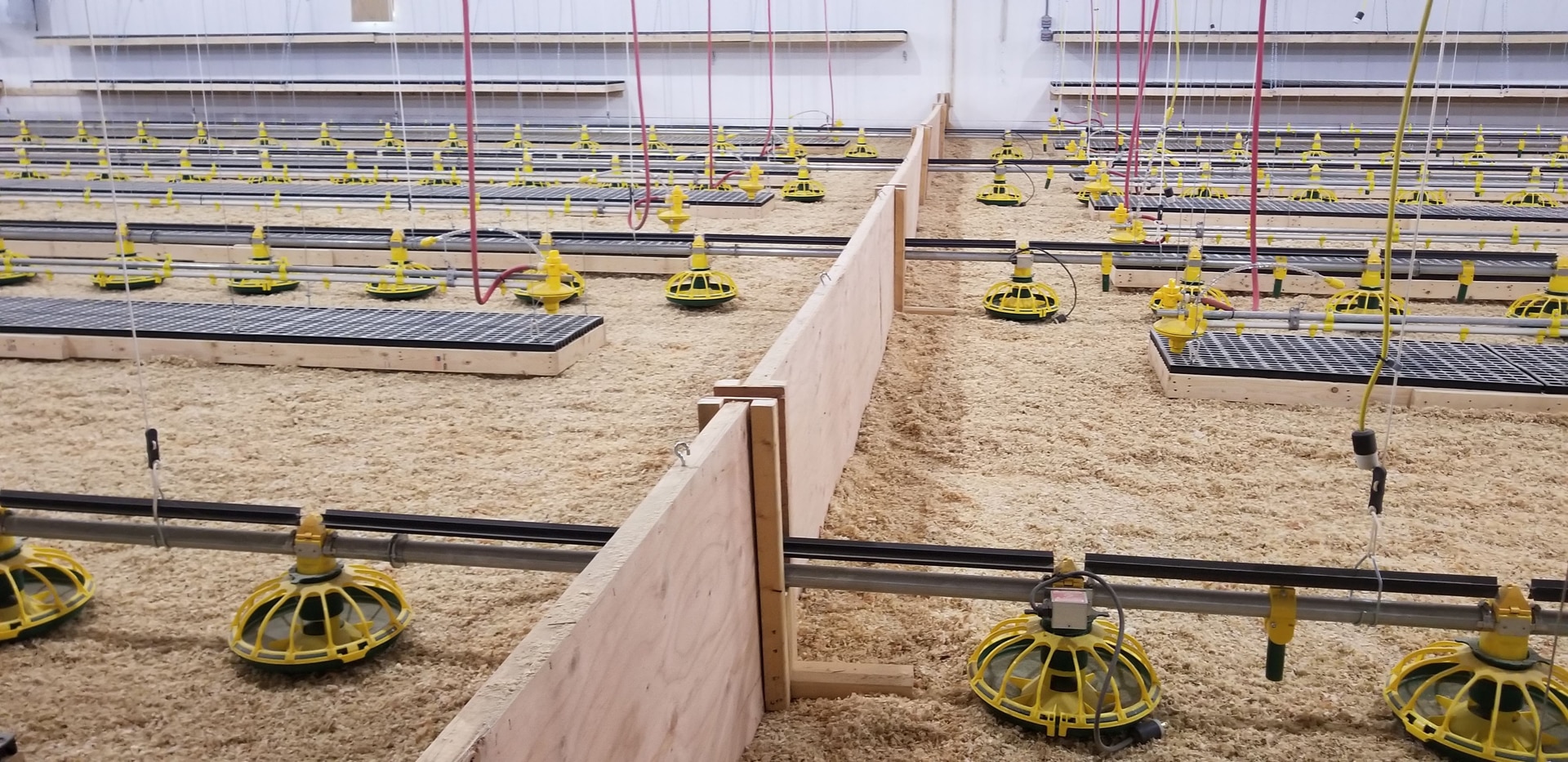 Pullet - Zeiset Equipment