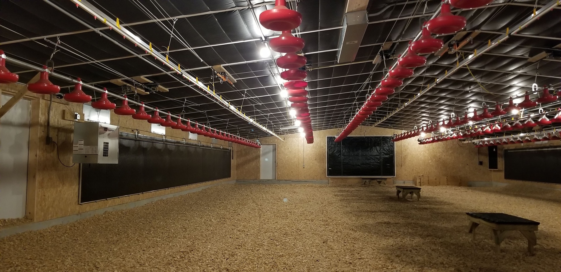 Pullet - Zeiset Equipment