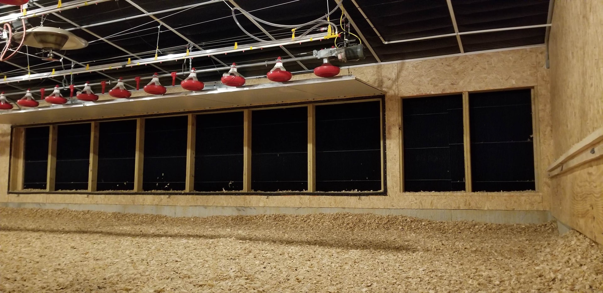 Pullet - Zeiset Equipment