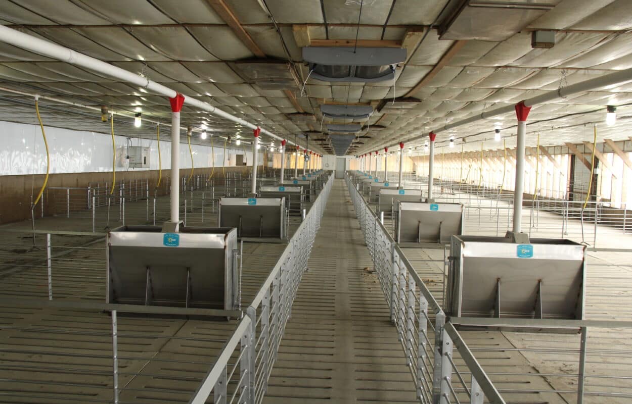 Swine - Zeiset Equipment