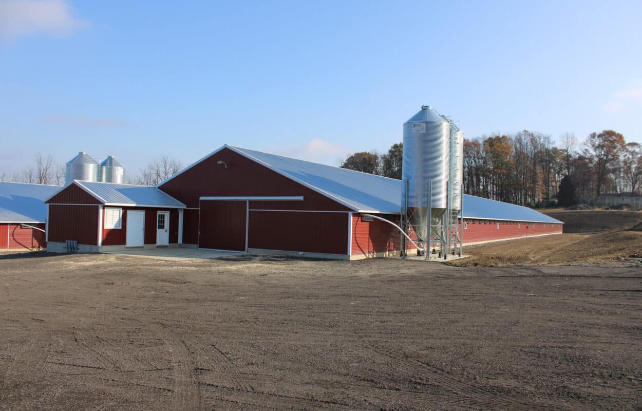 Pullet - Zeiset Equipment