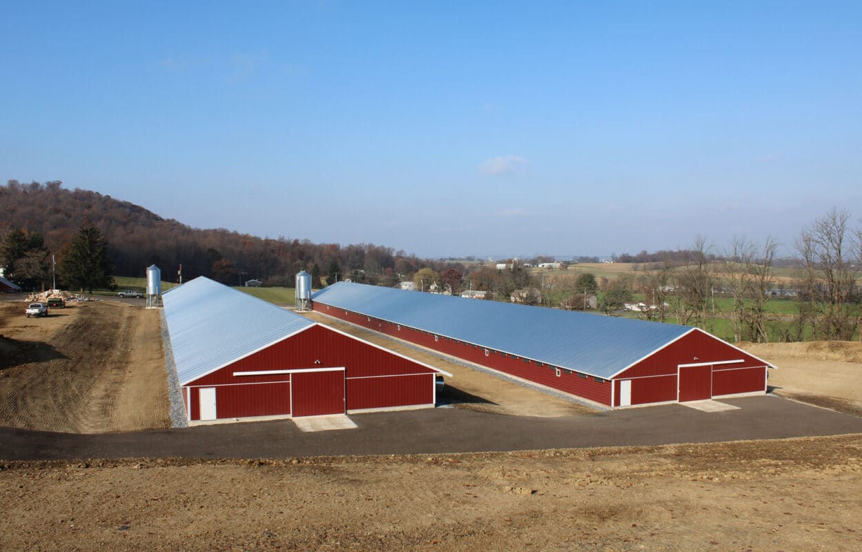 Pullet - Zeiset Equipment